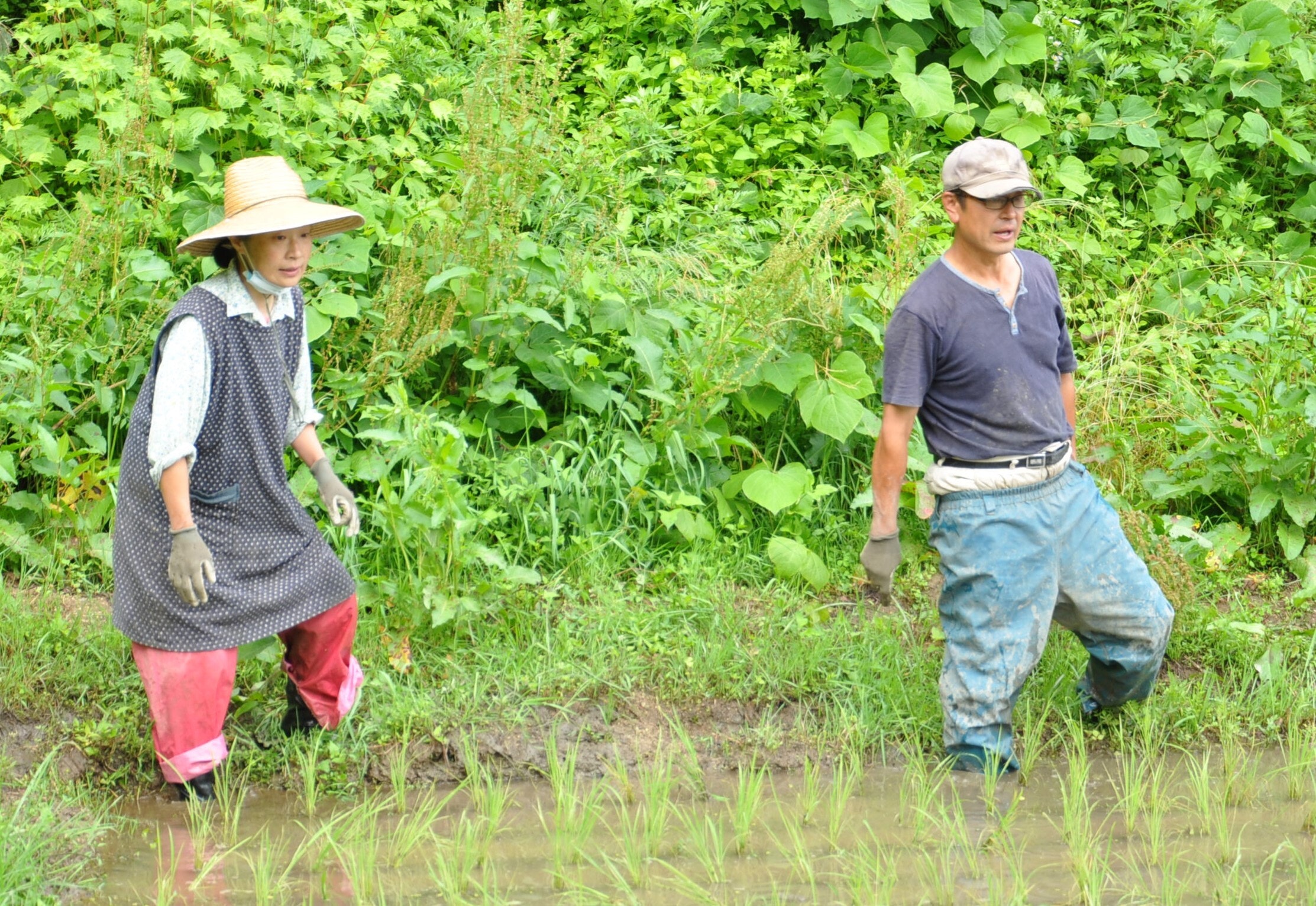 image (1) – Fresh Lab